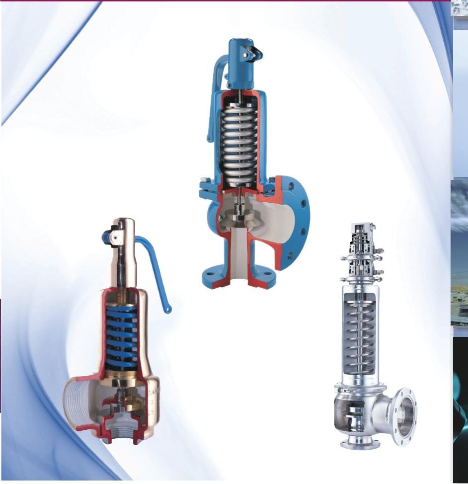 Spirax Sarco safety valves: professional solution for overpressure ...